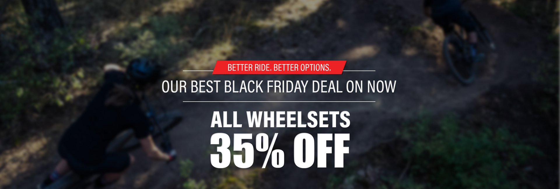 We Are One Composites - Carbon Fibre Mountain Bike Rims & Wheels – WE ...