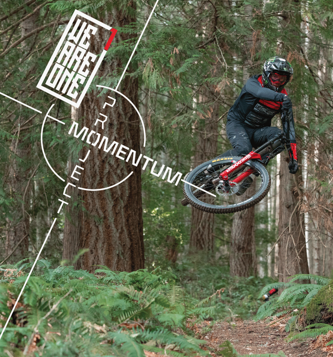 We Are One Composites - Carbon Fibre mountain bike rims and wheels – WE ...