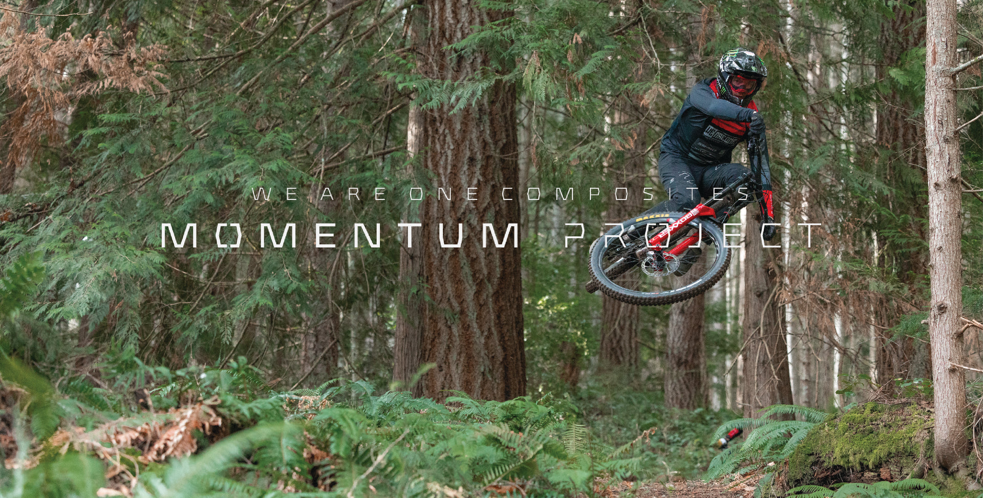 We Are One Composites - Carbon Fibre mountain bike rims and wheels – WE ...